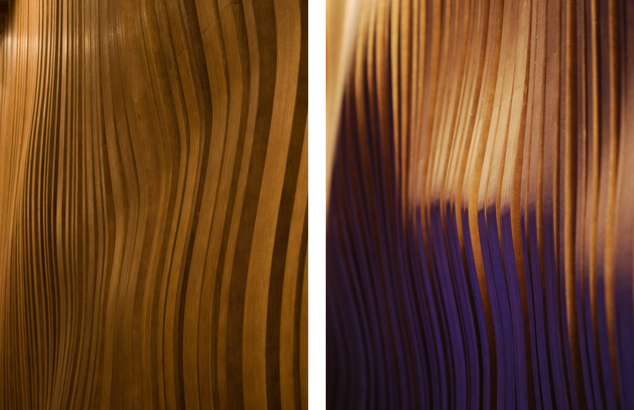 Canopy Buffet - DMAC Architecture & Interiors