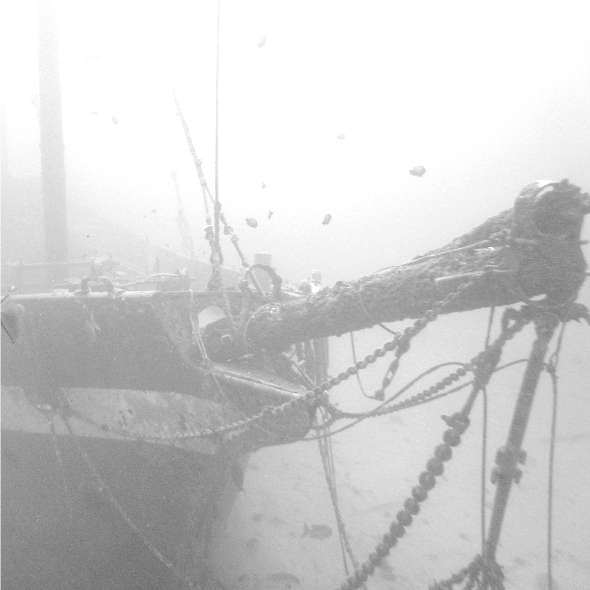 Copper Hull Wall - DMAC Architecture & Interiors