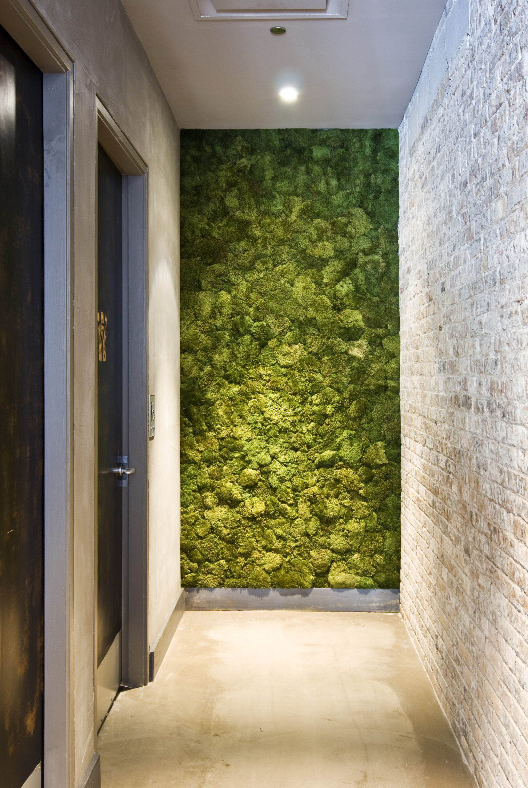 BellyQ - DMAC Architecture & Interiors